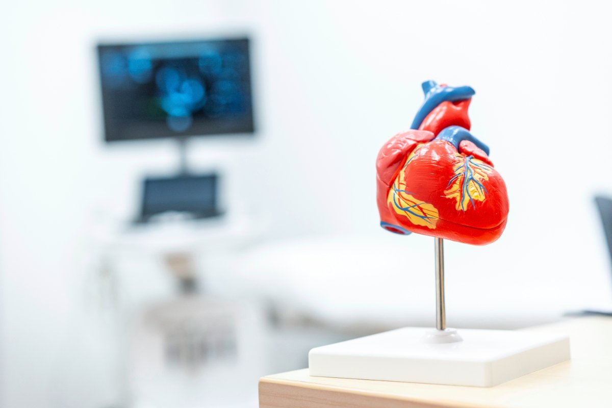 Cardiology Insights & Heart Health Blog: CARDIO Houston